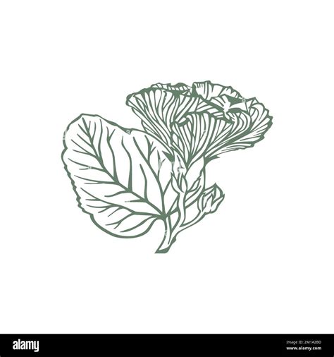 vector design concepts stock vector image and art alamy