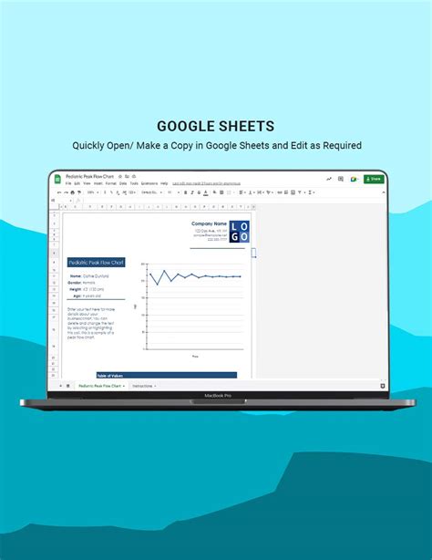 Pediatric Peak Flow Chart Google Sheets Excel Template Net