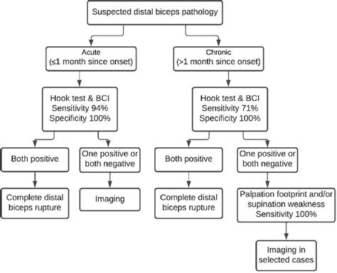 Proposed Diagnostic Algorithm For Suspected Distal Biceps Injuries