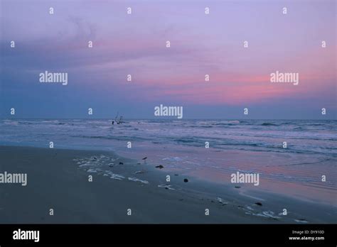 Usa United States America Texas Corpus Christi Padre Island National