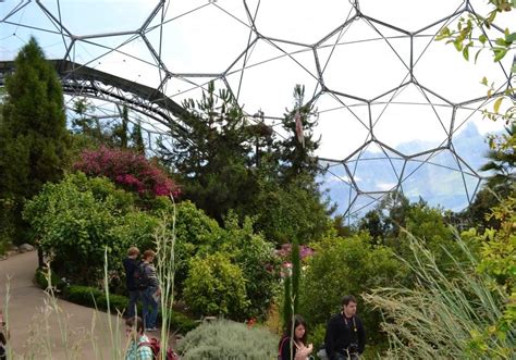 Ecosistema Artificial Qué Es Y Ejemplos