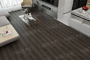 Напольная каменно-полимерная плитка SPC PRO серии NEOWOOD от Norland в ...