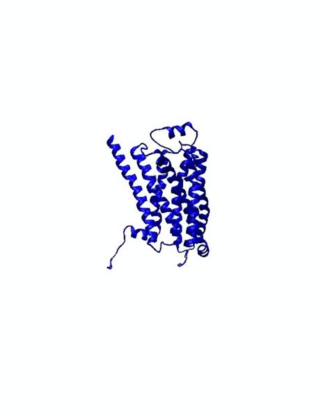 Molecular Dynamics Of Gpcr In Lipid Bilayer Youtube
