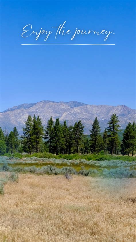 Find Serenity In Idyllwild Island Tribe Wellness