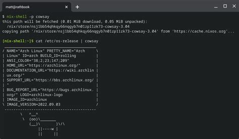 Installing Nix And Home Manager In Arch Linux Mattrathbun