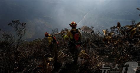 포토 산불로 연기가 자욱한 에콰도르 국립공원