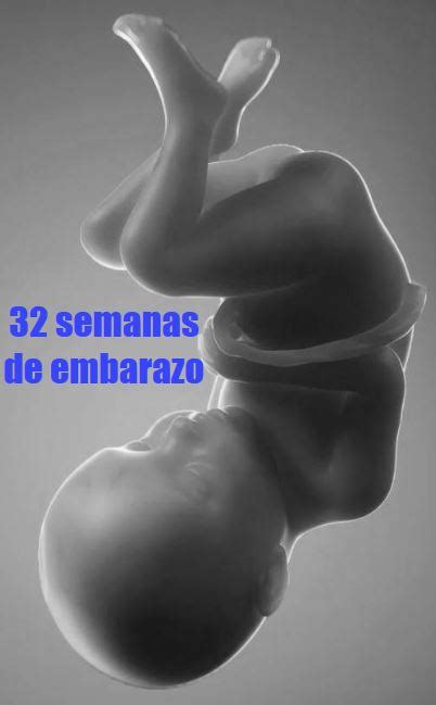 Tu Embarazo 32 Semanas De Gestación