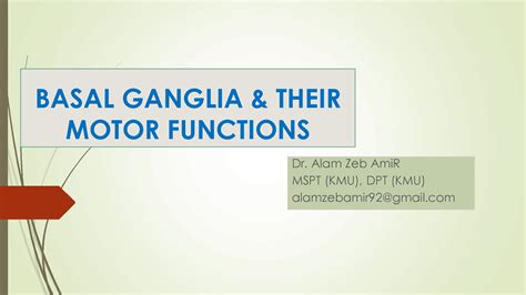 Solution Basal Ganglia Their Motor Function Studypool