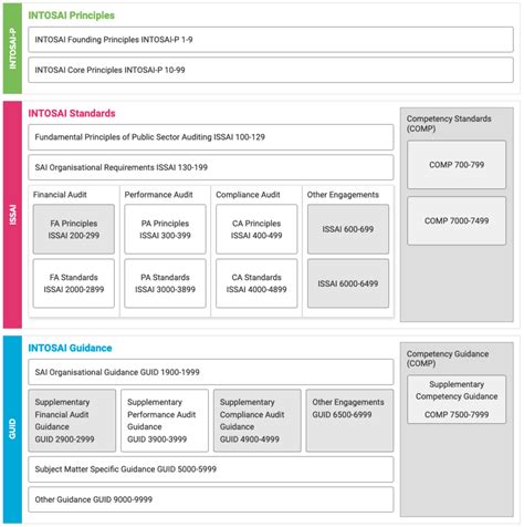 Audit Standards INTOSAI