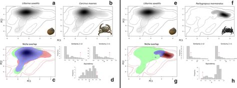 A D Niche Similarity And Equivalency Between L Saxatilis And The Download Scientific Diagram