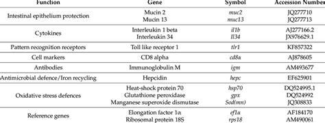 Pcr Array Layout For Gene Expression Profiling Of Anterior Gut In Sea