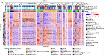 RMATS Turbo An Efficient And Flexible Computational Tool For Alternative Splicing Analysis Of