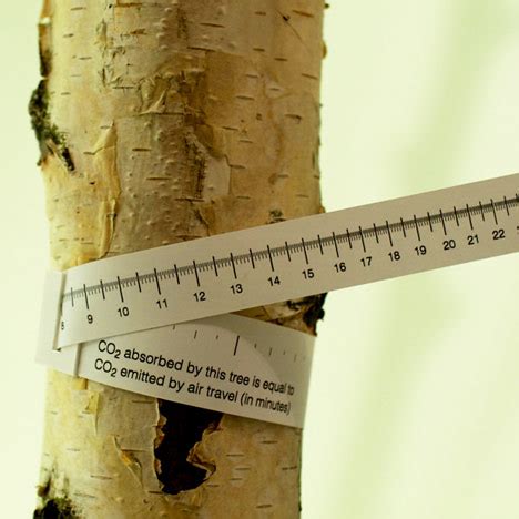 Tree Tape By Nitipak Samsen Dezeen