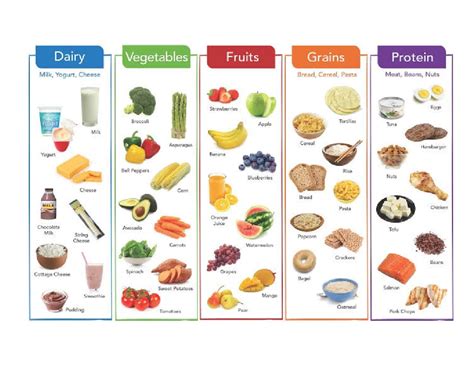 Nutritious Food Science Technology And Society Studocu