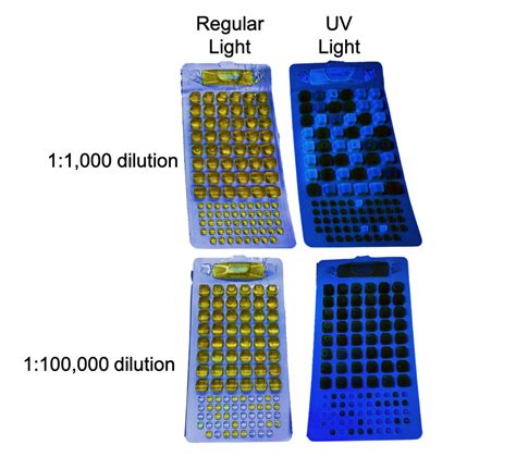 A 100 Ml Water Sample Is Collected From The San Diego