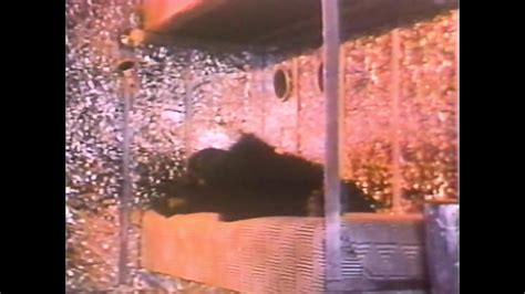 Invasion From Planet Phallus Usa Tomi La Roux Christine Kelly