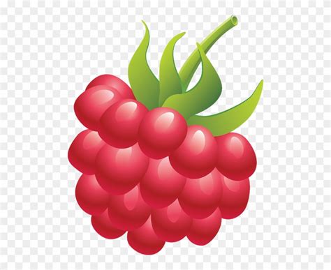 Raspberry Png Raspberry Clipart Transparent Background PinClipart