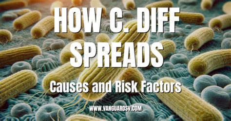 How C Diff Spreads Causes And Risk Factors