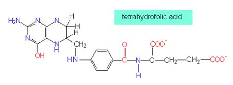 Tetrahydrofolate Structure Methotrexate Based Protacs As Dhfr Specific