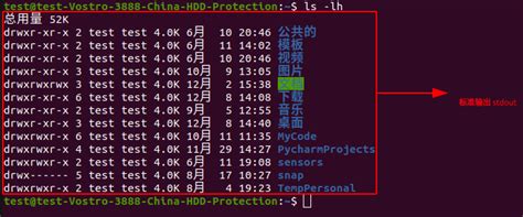 Linux命令后面常见的 dev null 解释 习久性成 博客园