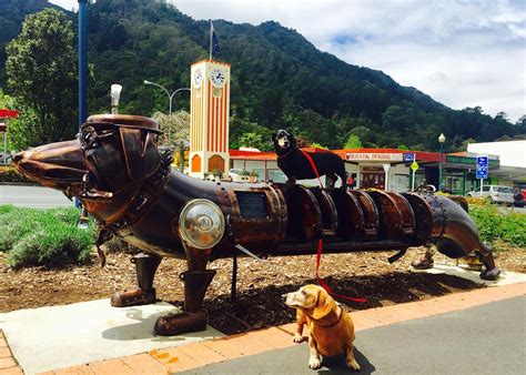 The 15 Best Things To Do In Te Aroha 2026 Must See Attractions