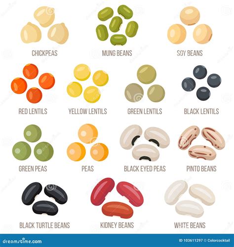 Beans Set Vector Illustration Flat Style Stock Vector Illustration