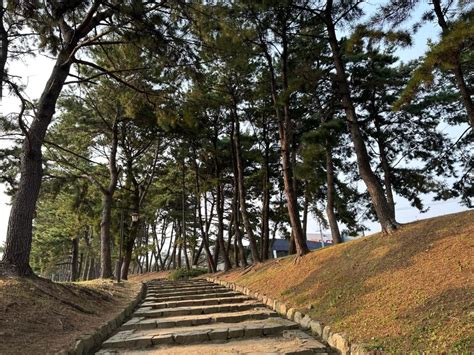 曲里の松並木公園 北九州の情報が満載 行こう住もう