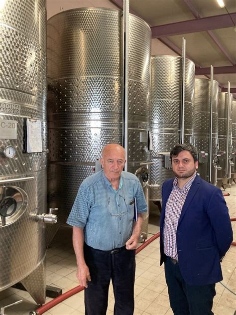 Зам министър Събев Българското вино трябва да си върне присъствието на световните пазари