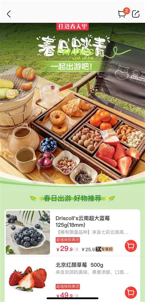 盒马春日踏青