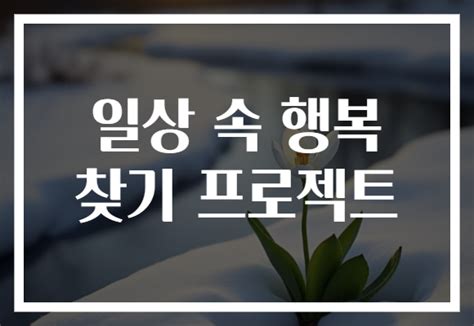 일상 속 행복 찾기 프로젝트 소소한 순간들이 만든 큰 기쁨