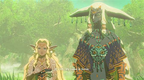 Sonia The Legend Of Zelda Tears Of The Kingdom In Legend Of Zelda Zelda Art Legend