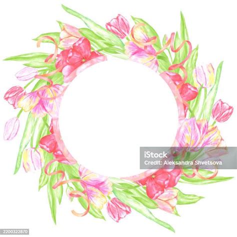 손으로 그린 수채화 다채로운 튤립 녹색 잎 빨간 리본 화환 흰색 배경에 고립되어 있습니다 엽서 초대장 앨범 및 기타 인쇄 제품에 사용할 수 있습니다 0명에 대한 스톡 벡터