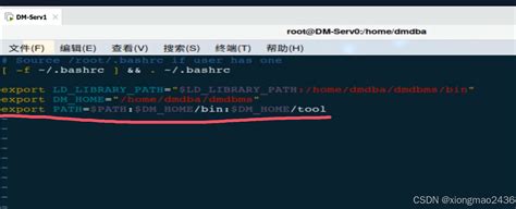 达梦数据库安装(命令行)达梦数据库安装包 Csdn博客 达梦数据库安装(命令行)达梦数据库安装包 Csdn博客