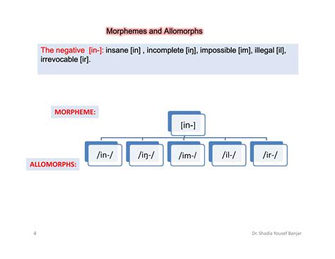 Allomorphs Dr Shadia Yousef Banjar Ppt