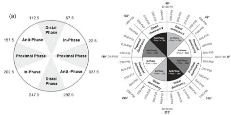 A Polar Plot Showing The Coordination Pattern Classification Adapted