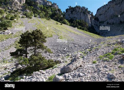 Rugged Stony Landscape With Massive Limestone Cliffs And Screes Below