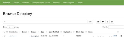 Solved Apache Nifi Using Putparquet The Hdfs File Form