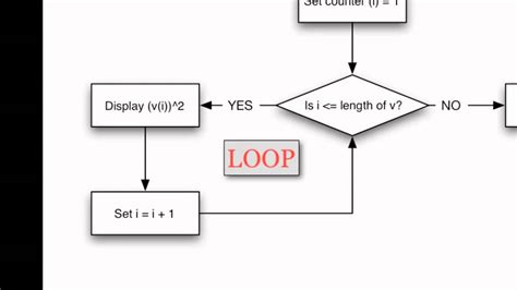Rule34react Looping