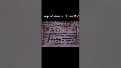 মানুষ তাই পায় যা সে চেষ্টা করে ️‍🩹 Viralvideos Viralshorts Trendingshorts Tusan Islamic