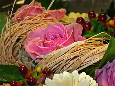 Fotos Gratis Flor Pétalo Regalo Florero Decoración Romance