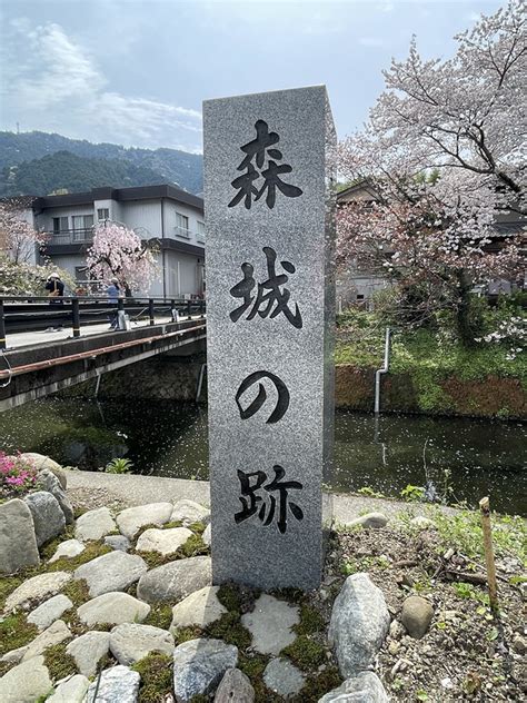 森城の見所と写真全国の城好き達による評価 徳島県勝浦町 攻城団