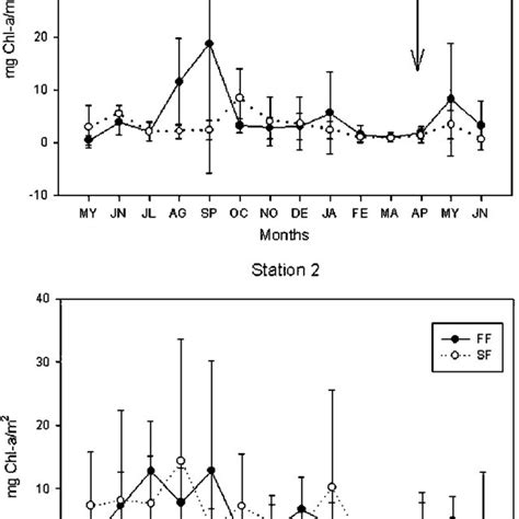 Macrophyte Richness In Both Sampling Stations At Las Flores Stream The