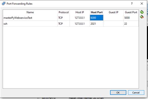 How To Access Virtualbox Python Flask Service From Host Browser Stack Overflow