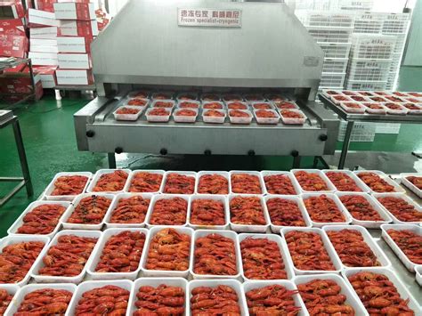 液氮速冻机在海鲜食品行业中的应用越来越广 新闻中心 液氮速冻 液氮速冻设备 速冻机 科威嘉尼北京科技有限公司