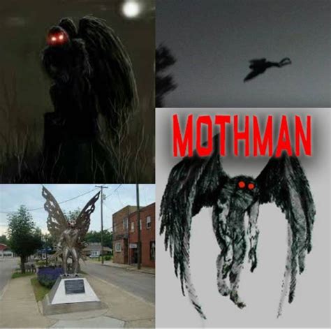 Sightings Of The Mothman