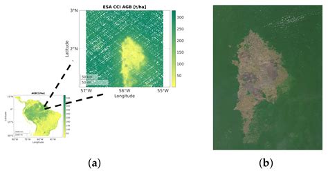 Biomass Estimation With Gnss Reflectometry Using A Deep Learning Retrieval Model