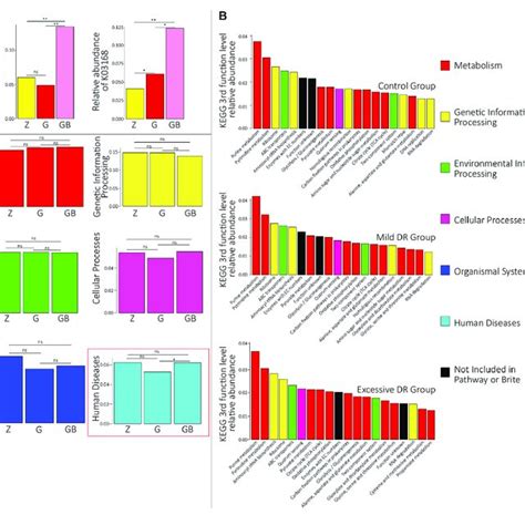 Protein Functional Annotation Analysis A Kos With A Significant Download Scientific