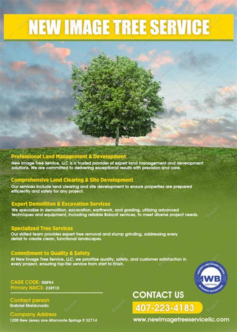 Do Eye Catchy Professional Business Capability Statement By