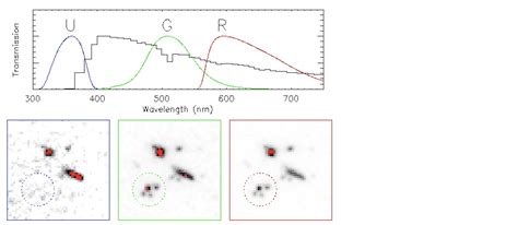 Python Plotly Express Sunburst Plot Complete Blank Stack Overflow