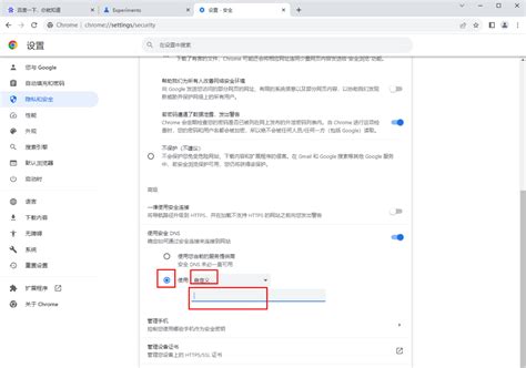 谷歌浏览器加载网页很慢怎么办 优化谷歌浏览器网页加载速度步骤介绍 谷歌浏览器加载网页很慢怎么办 优化谷歌浏览器网页加载速度步骤介绍